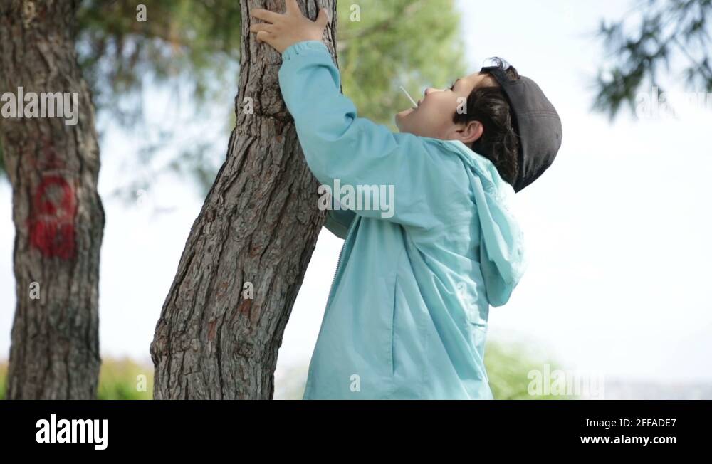 Boys climbing tree boy boy climb tree Stock Videos & Footage - HD and ...