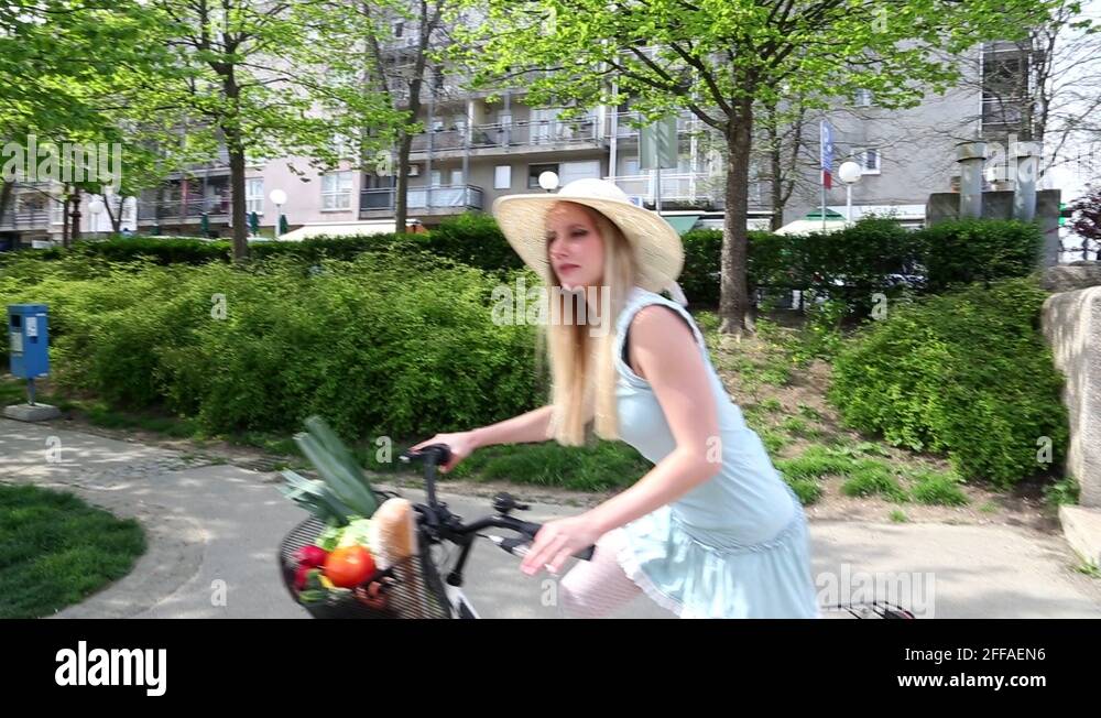 Adult and young flies Stock Videos & Footage - HD and 4K Video Clips ...