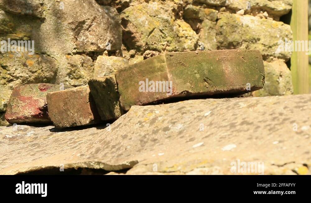 Loose bricks Stock Videos & Footage - HD and 4K Video Clips - Alamy