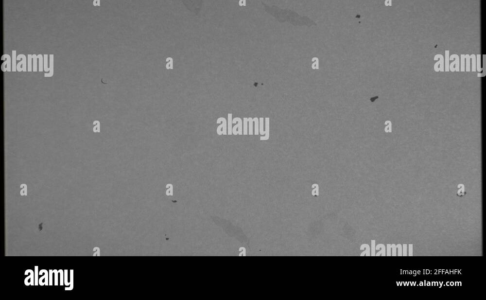 4K Film Grain Overlay Stock Video Footage - Alamy