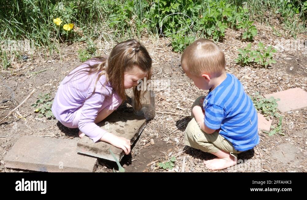 Bugs looking at bugs Stock Videos & Footage - HD and 4K Video Clips - Alamy