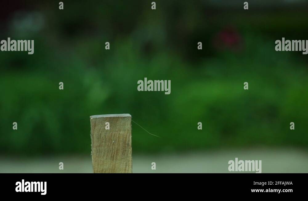 Ground hammer Stock Videos & Footage - HD and 4K Video Clips - Alamy