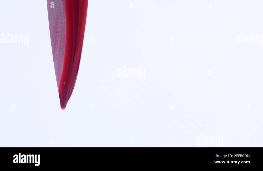 Dripping blood Stock Videos & Footage - HD and 4K Video Clips - Alamy