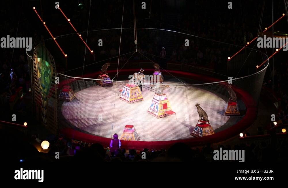 Amphitheatre performance Stock Videos & Footage - HD and 4K Video Clips ...