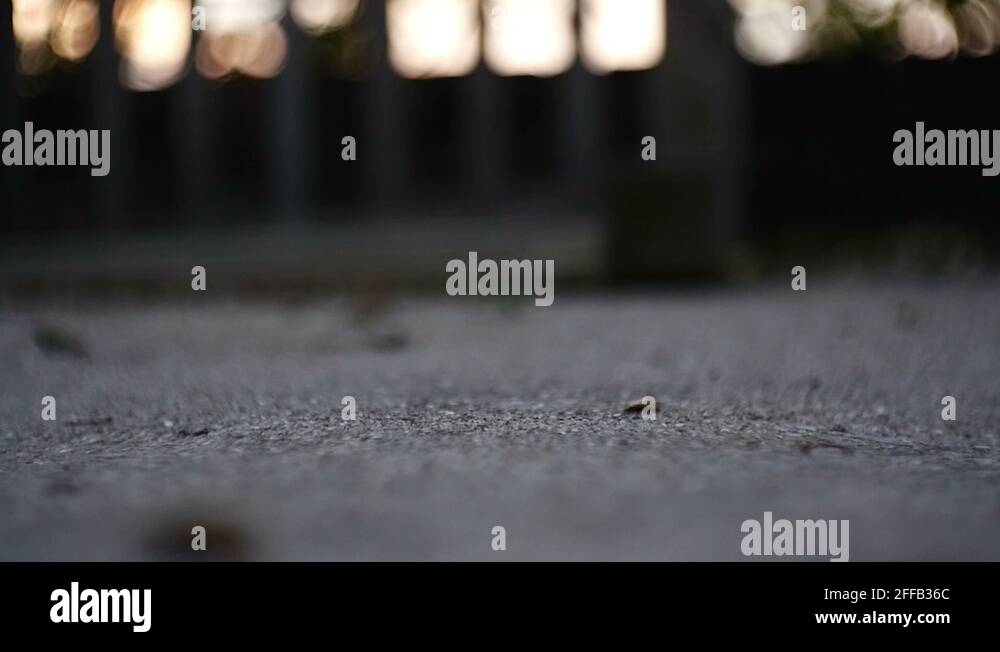 Spilling blood Stock Videos & Footage - HD and 4K Video Clips - Alamy