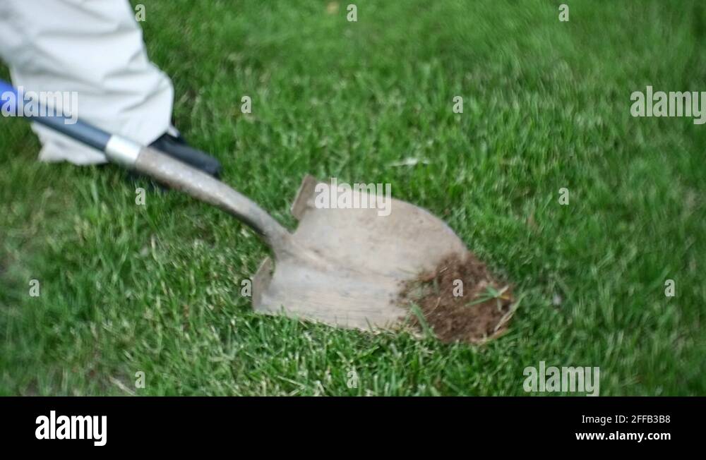 Dig digging Stock Videos & Footage - HD and 4K Video Clips - Alamy