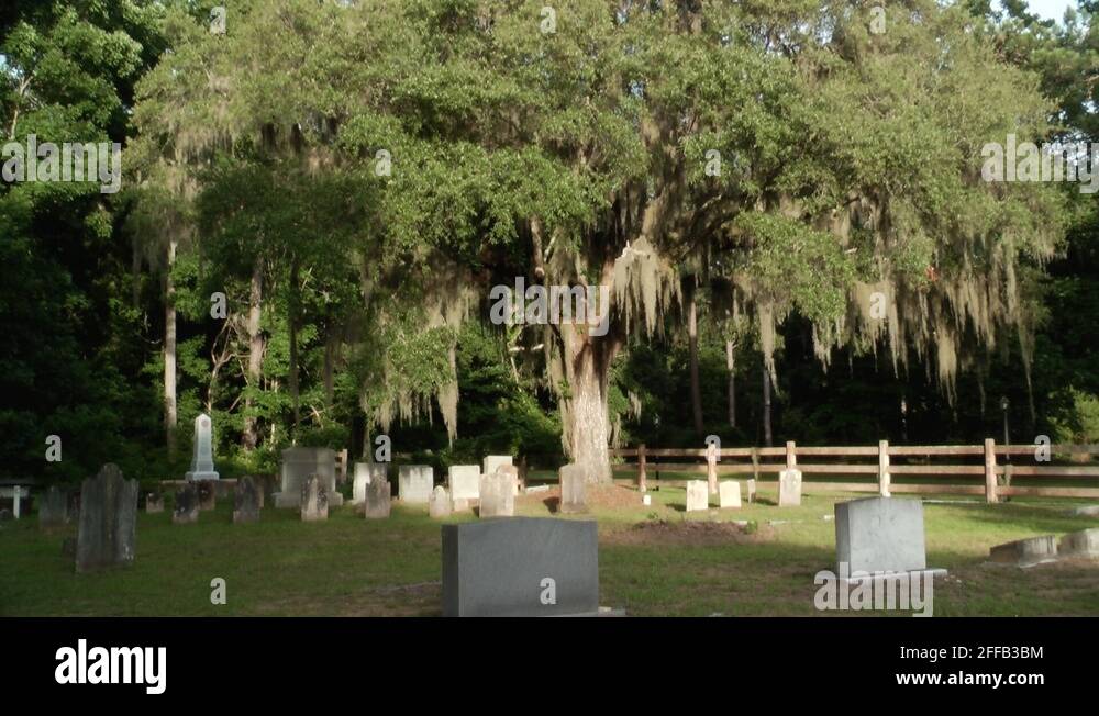 Oak cemetery Stock Videos & Footage - HD and 4K Video Clips - Alamy