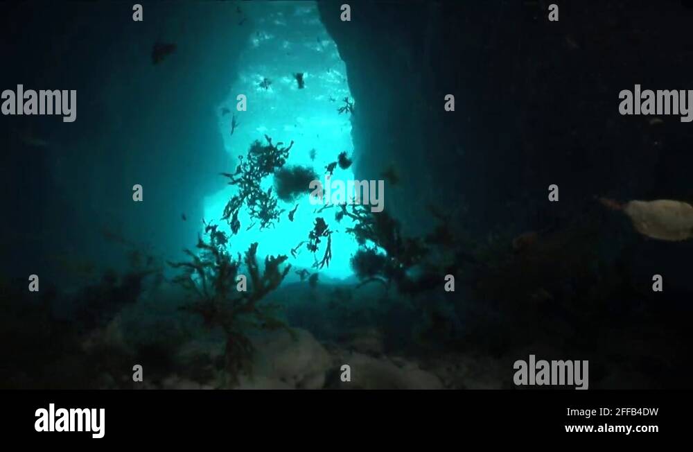Cave algae Stock Videos & Footage - HD and 4K Video Clips - Alamy