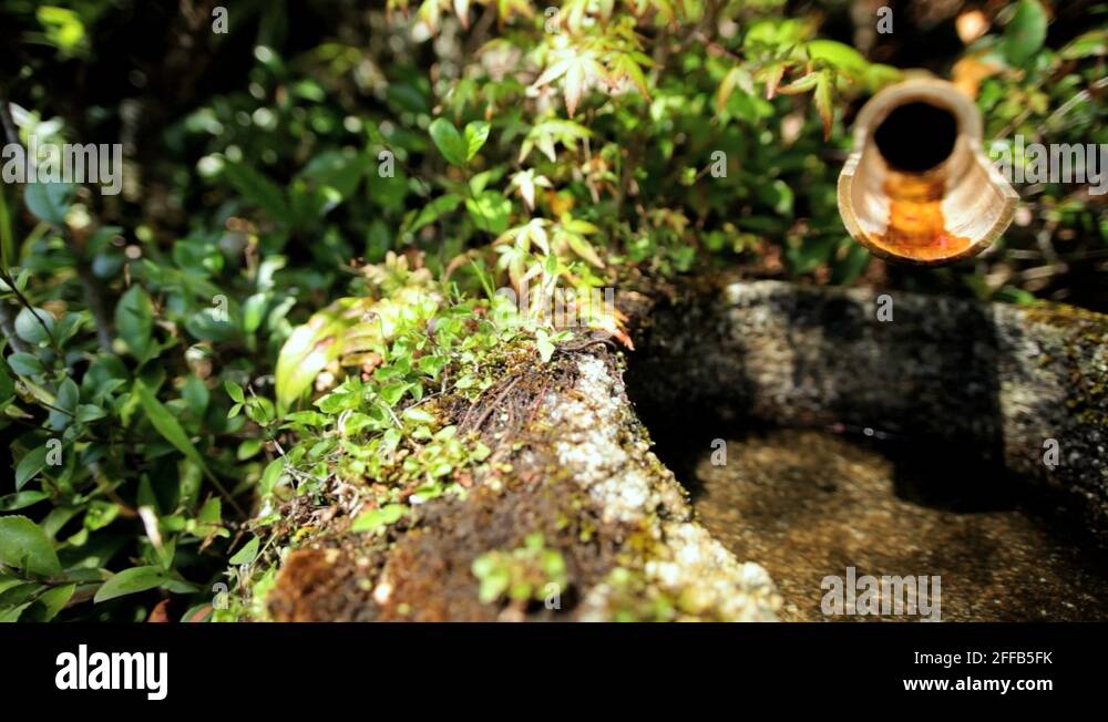Japanese garden water Stock Videos & Footage - HD and 4K Video Clips ...