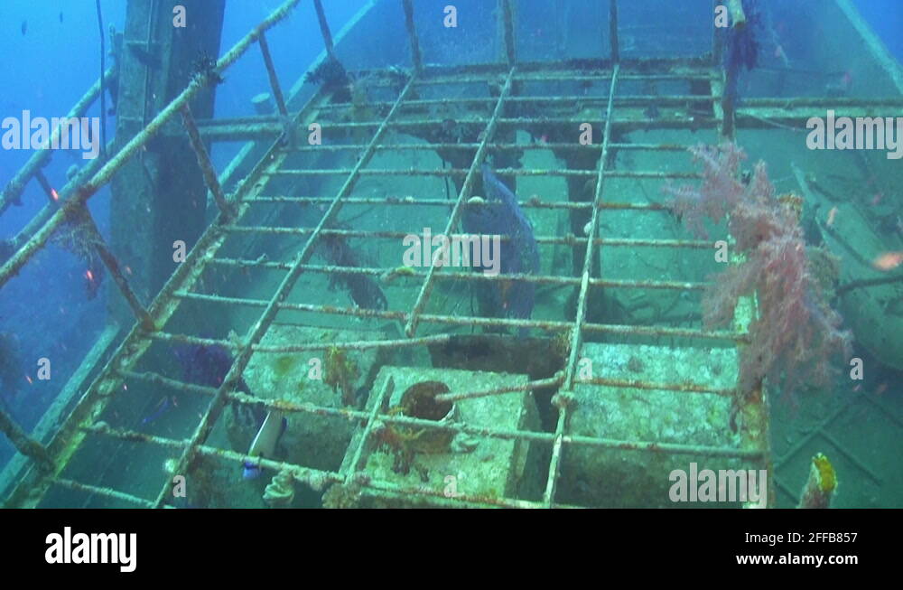 Shipwreck on the Seabed Stock Video Footage - Alamy