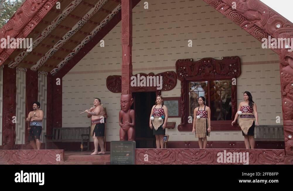 Traditional Maori welcome at Waitangi Treaty Grounds Stock Video ...