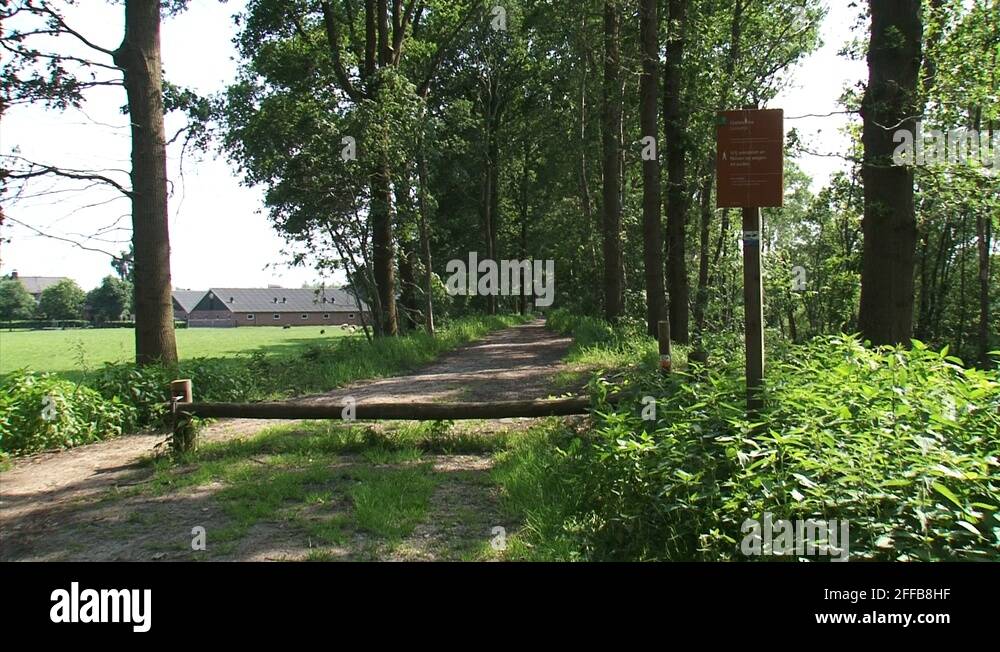 Path protection Stock Videos & Footage - HD and 4K Video Clips - Alamy