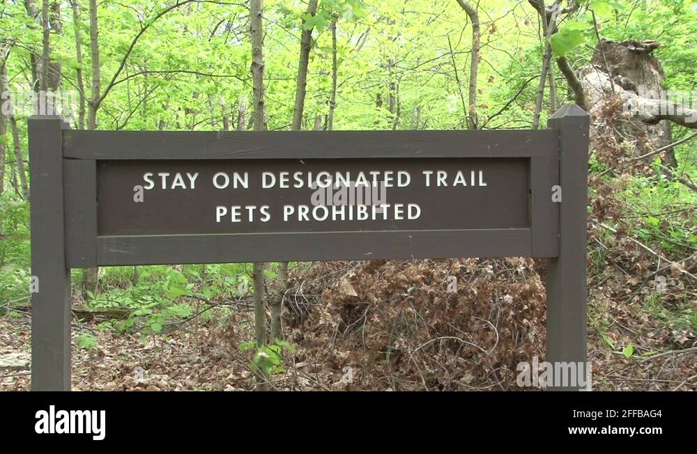 Designated trail Stock Videos & Footage - HD and 4K Video Clips - Alamy