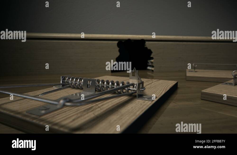 Mouse hole in skirting Stock Videos & Footage - HD and 4K Video Clips ...