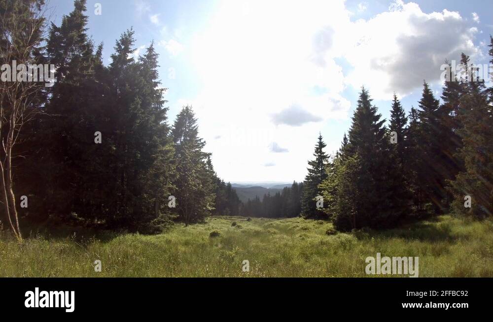 Harz nature reserve Stock Videos & Footage - HD and 4K Video Clips - Alamy