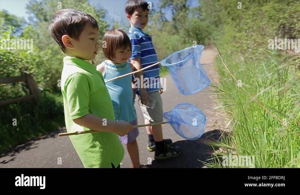 Wonder bug Stock Videos & Footage - HD and 4K Video Clips - Alamy