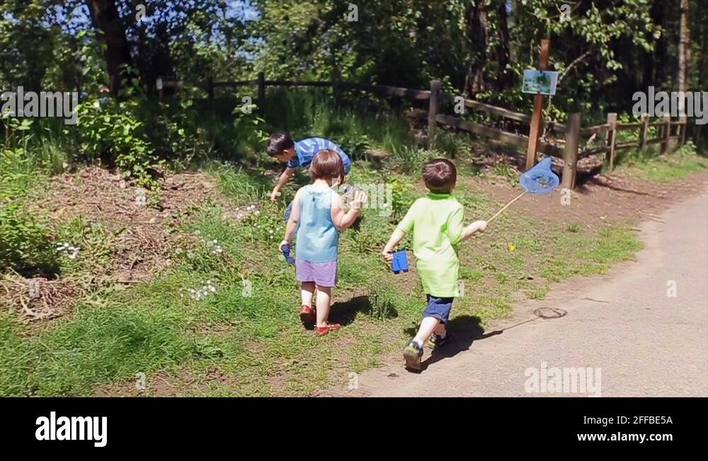 Bug hunt Stock Videos & Footage - HD and 4K Video Clips - Alamy