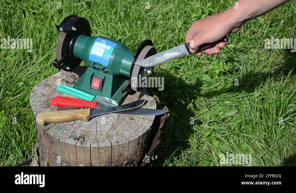 Log grass Stock Videos & Footage - HD and 4K Video Clips - Alamy