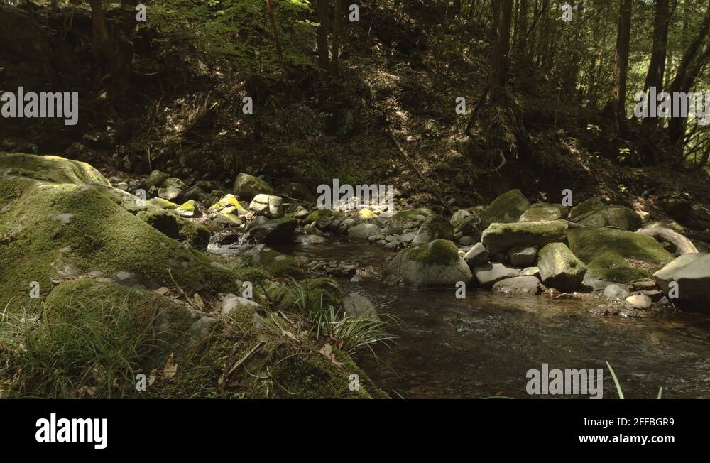 beautiful stream with old rocks pan, color-graded 4K (3840x2160 Stock ...
