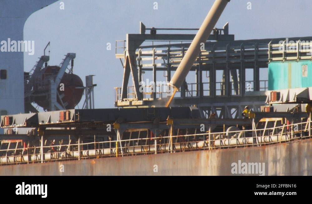 Wheat for export Stock Videos & Footage - HD and 4K Video Clips - Alamy