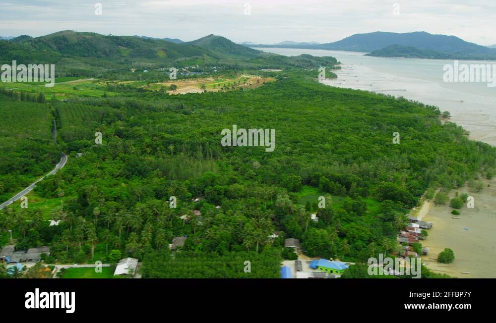 Mangrove bay resort Stock Videos & Footage - HD and 4K Video Clips - Alamy