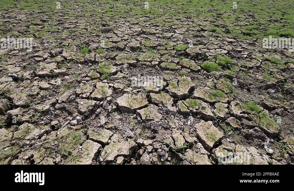 Cracked soil Stock Videos & Footage - HD and 4K Video Clips - Alamy
