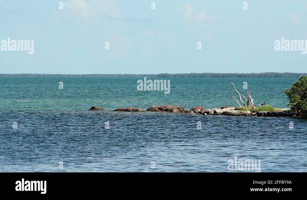 Lower keys beach Stock Videos & Footage - HD and 4K Video Clips - Alamy