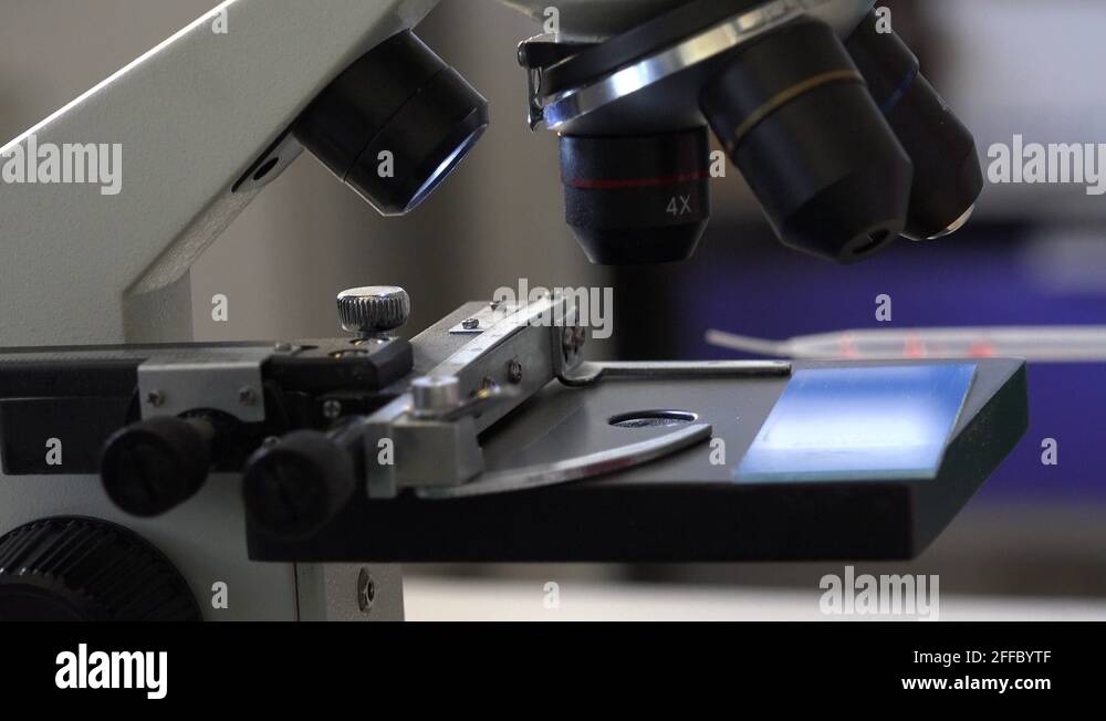 Laboratory experiment with microscope Stock Videos & Footage - HD and ...