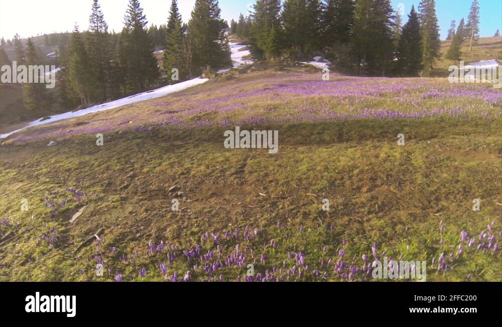 Flying carpets Stock Videos & Footage - HD and 4K Video Clips - Alamy