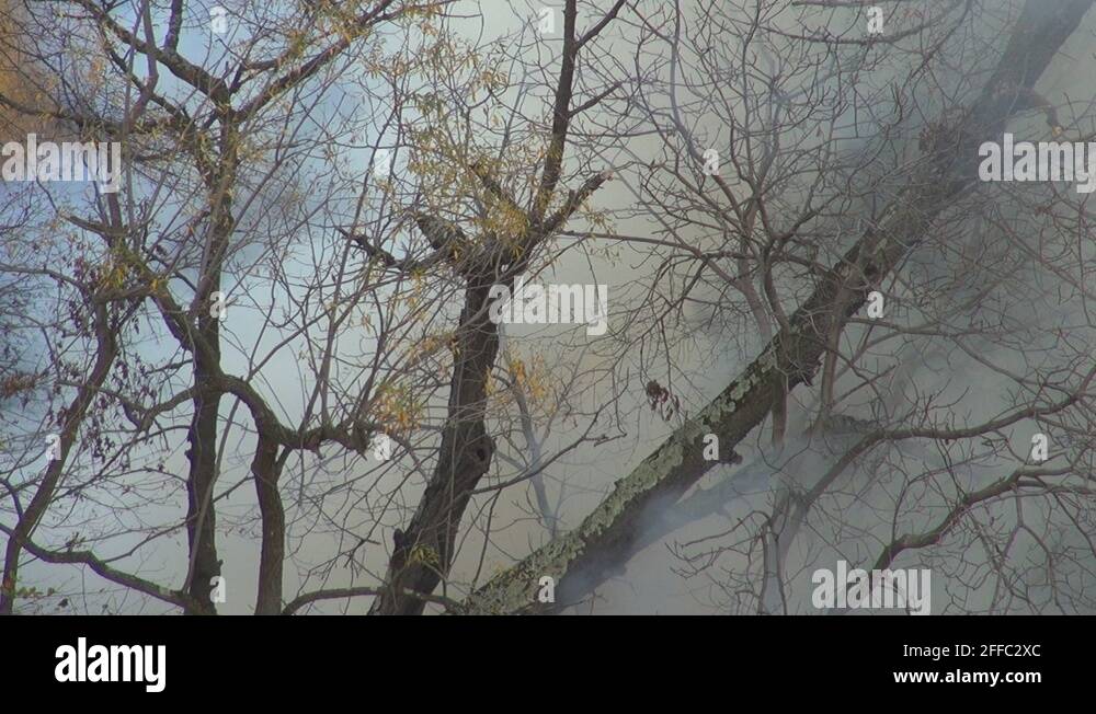 Fire trail Stock Videos & Footage - HD and 4K Video Clips - Alamy