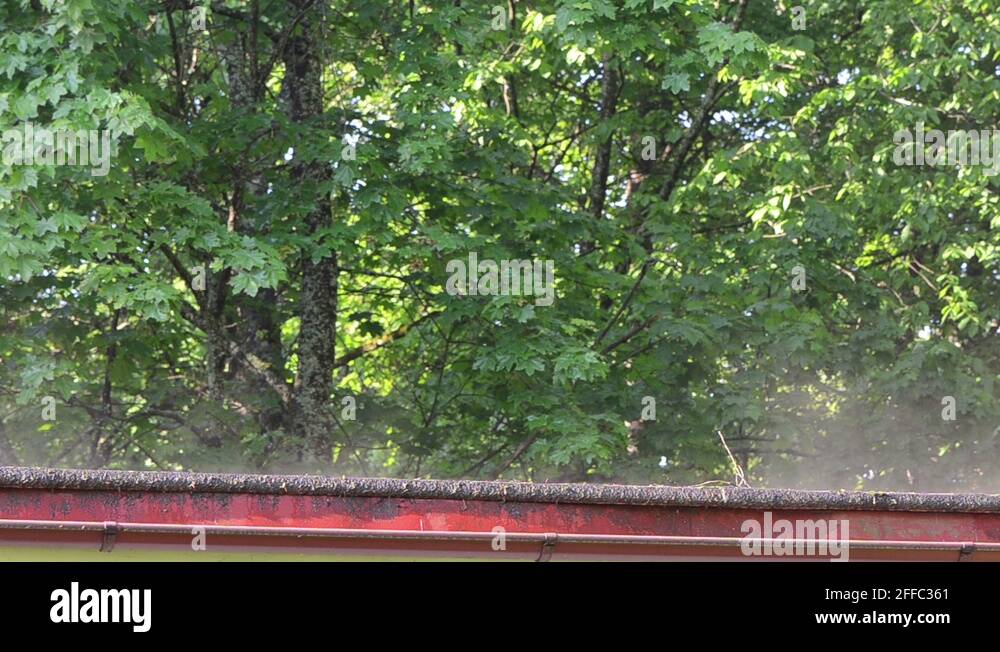 Steam rise Stock Videos & Footage - HD and 4K Video Clips - Alamy