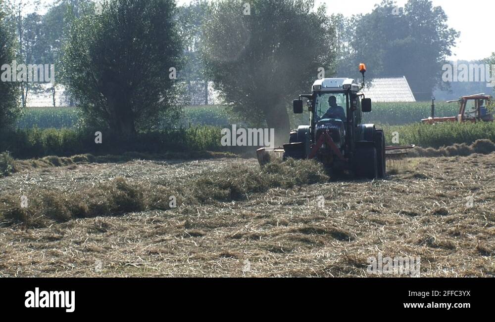 Background haying Stock Videos & Footage - HD and 4K Video Clips - Alamy