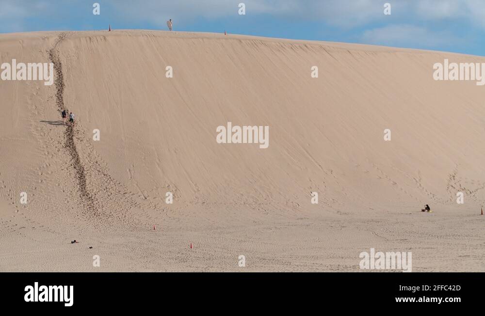 Dune surfing new zealand Stock Videos & Footage - HD and 4K Video Clips ...