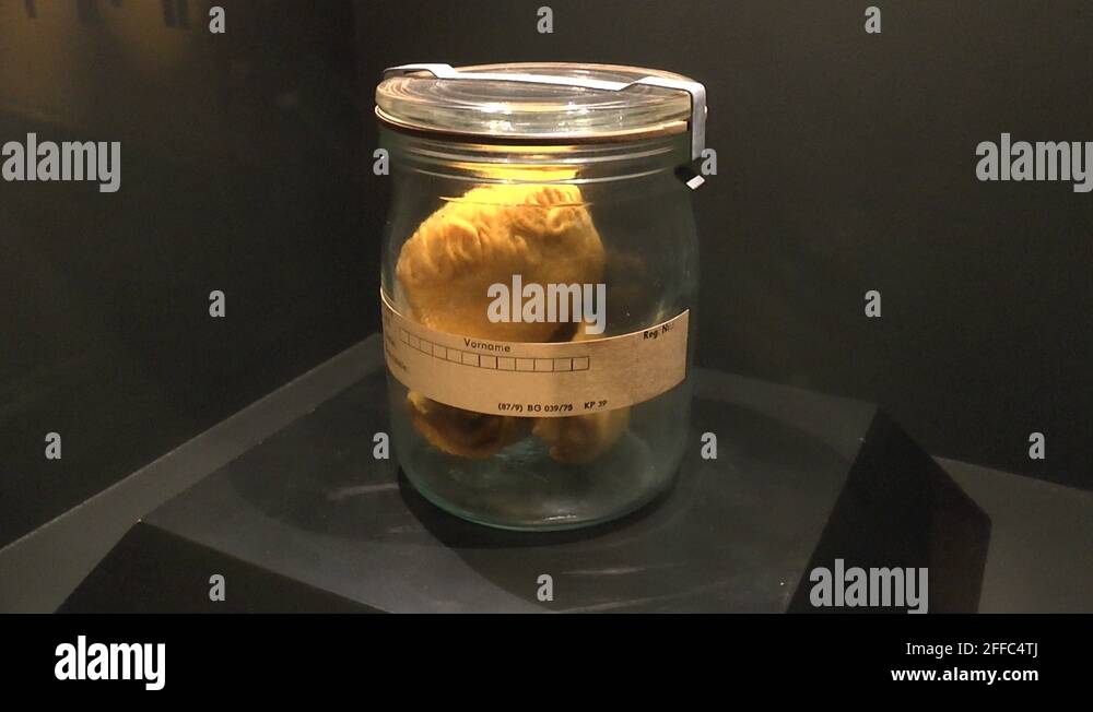 Jar museum Stock Videos & Footage - HD and 4K Video Clips - Alamy