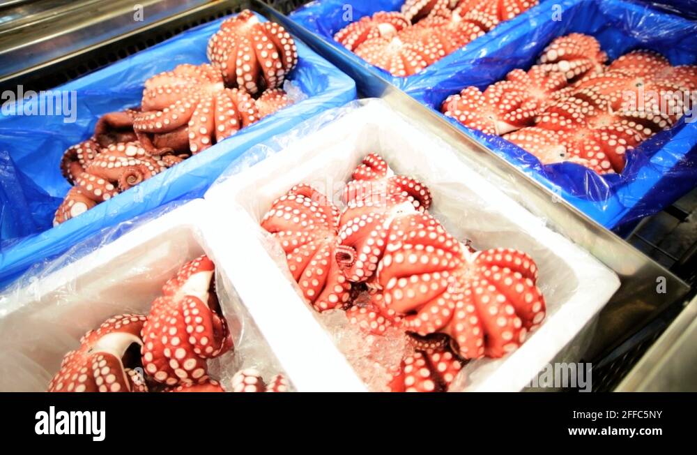 Octopus at japanese food market Stock Videos & Footage - HD and 4K ...