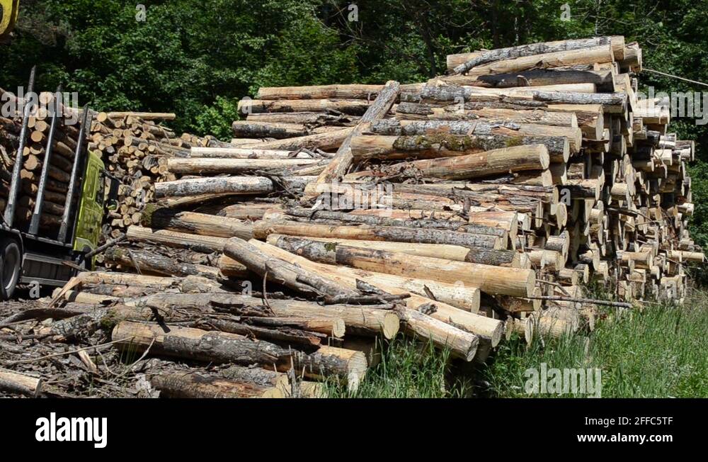 Grab lifting timber Stock Videos & Footage - HD and 4K Video Clips - Alamy