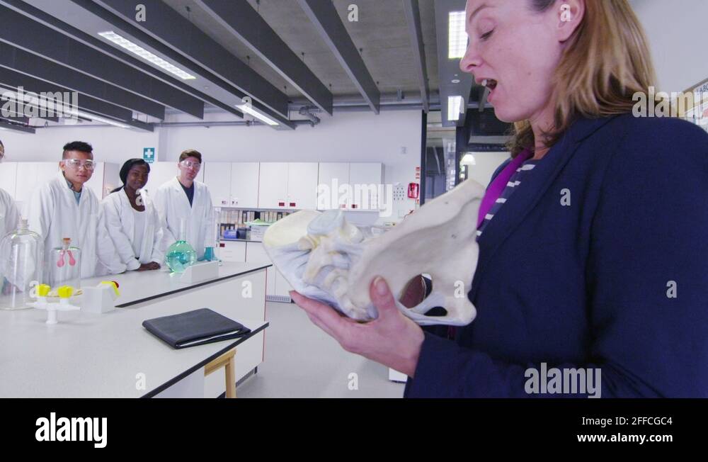 Female teacher teaching a group of students in science class Stock ...