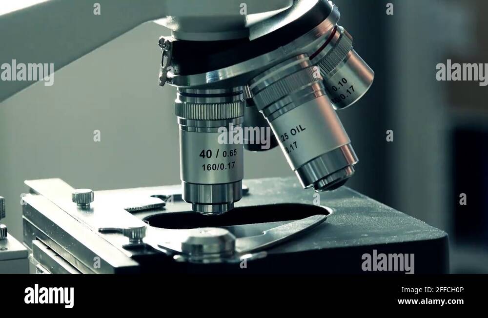 Laboratory microscope Stock Videos & Footage - HD and 4K Video Clips ...
