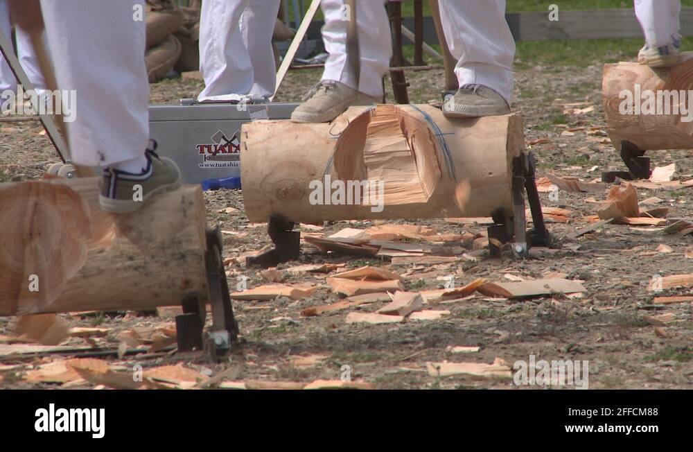 Wood cutting competition Stock Videos & Footage - HD and 4K Video Clips ...