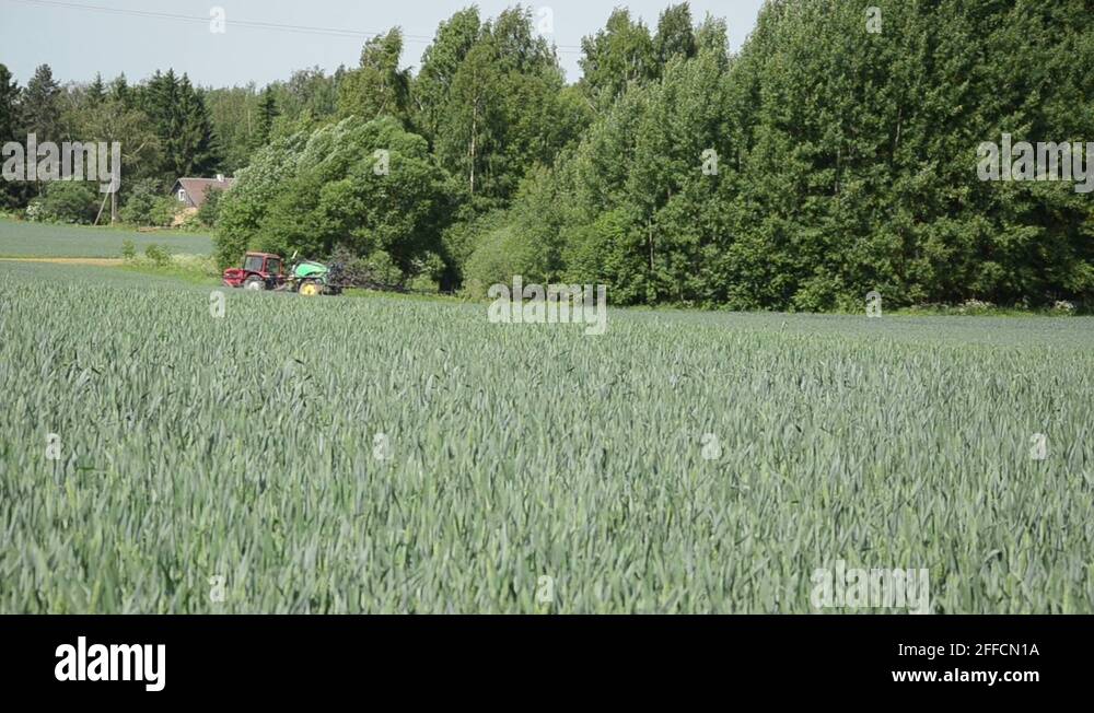 Fertilizing corn Stock Videos & Footage - HD and 4K Video Clips - Alamy
