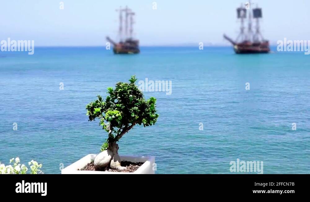 Decorative sailing ships Stock Videos & Footage - HD and 4K Video Clips ...