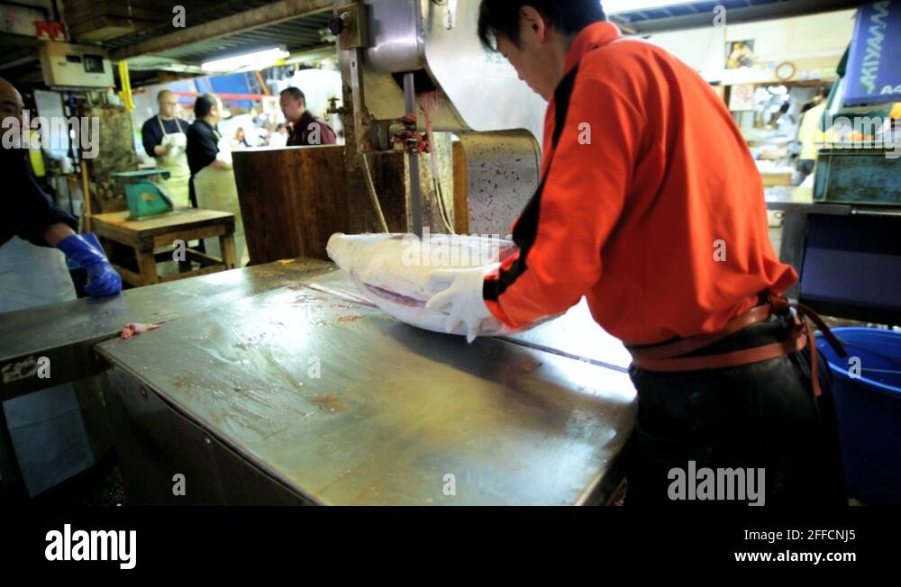 Tuna Tourist Tsukiji Fish Market Seafood Sushi Fishing Industry Tokyo ...