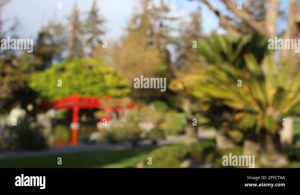 Red bridge with trees Stock Videos & Footage - HD and 4K Video Clips ...