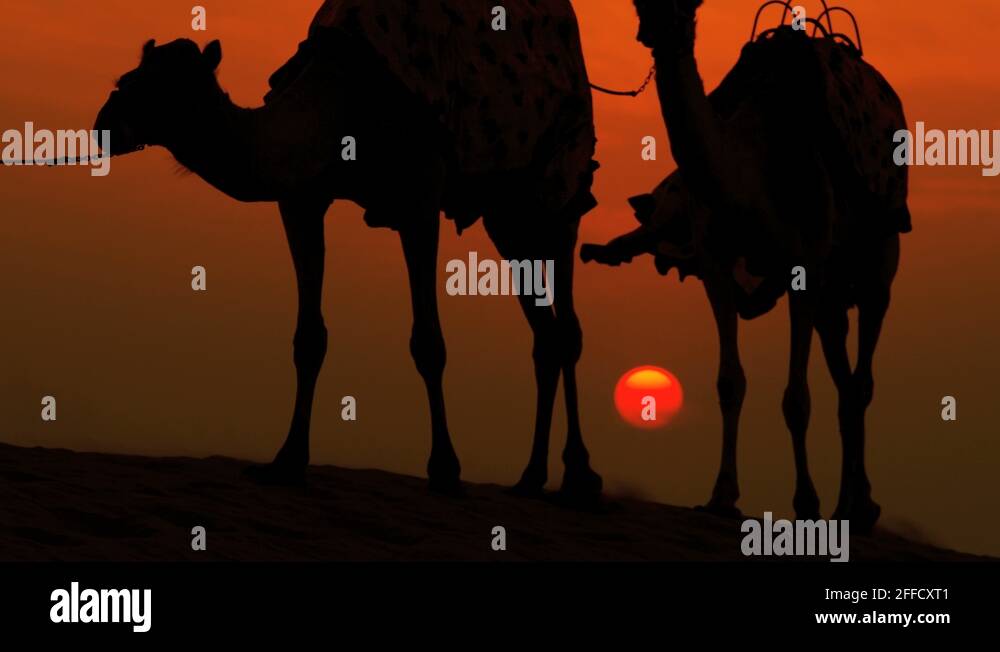 Hump of sand Stock Videos & Footage - HD and 4K Video Clips - Alamy