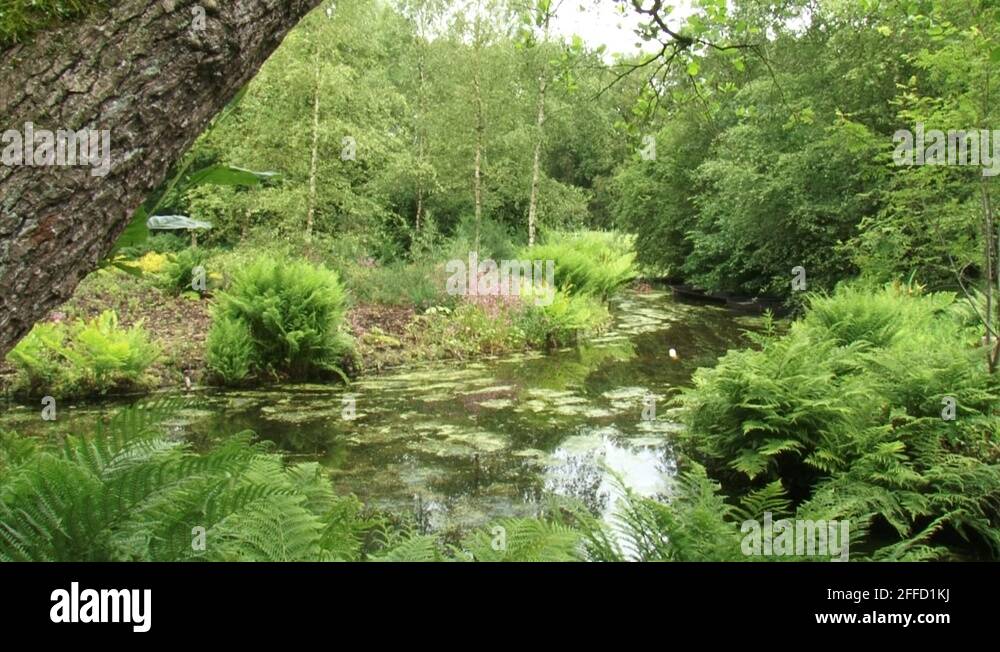 Marshland bridge Stock Videos & Footage - HD and 4K Video Clips - Alamy