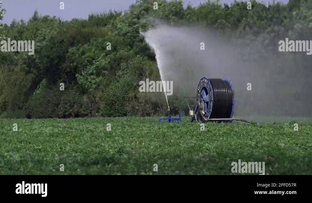 Row crop irrigation Stock Videos & Footage - HD and 4K Video Clips - Alamy