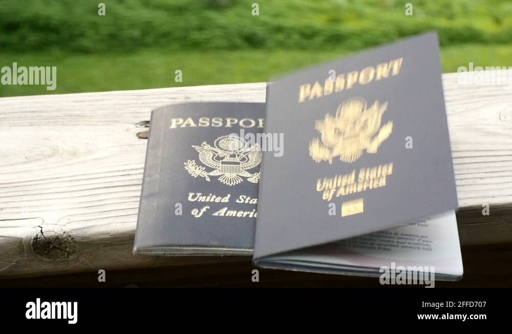 Tsa symbol Stock Videos & Footage - HD and 4K Video Clips - Alamy