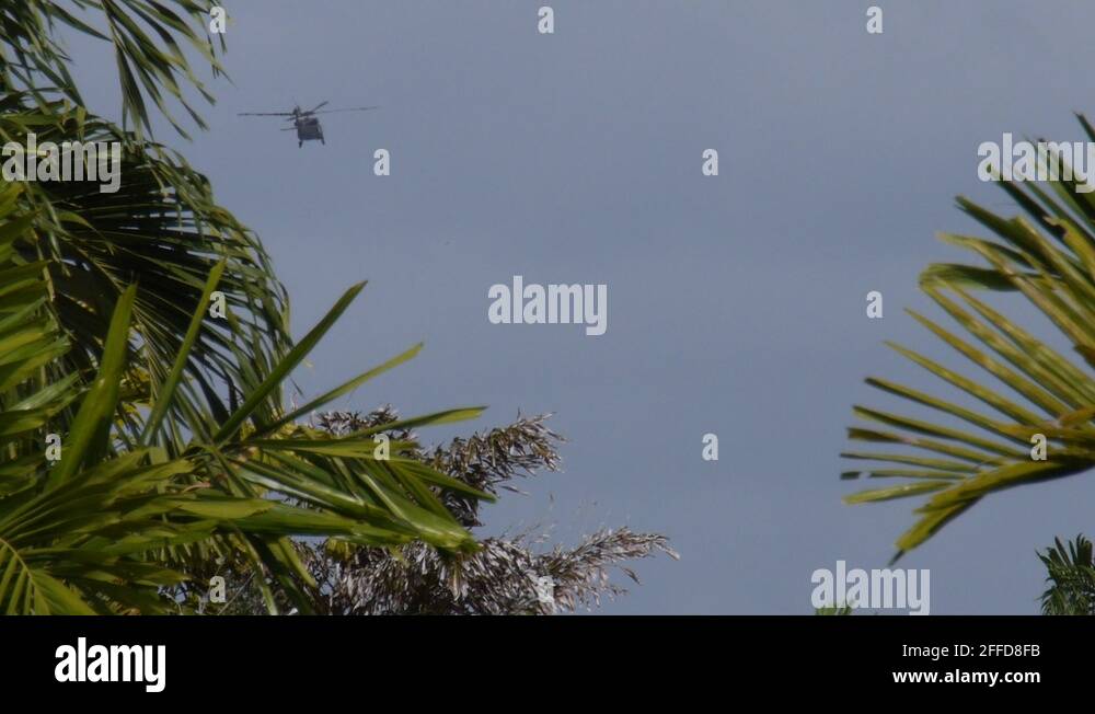 ATF Black Hawk helicopter behind trees 2 Stock Video Footage - Alamy
