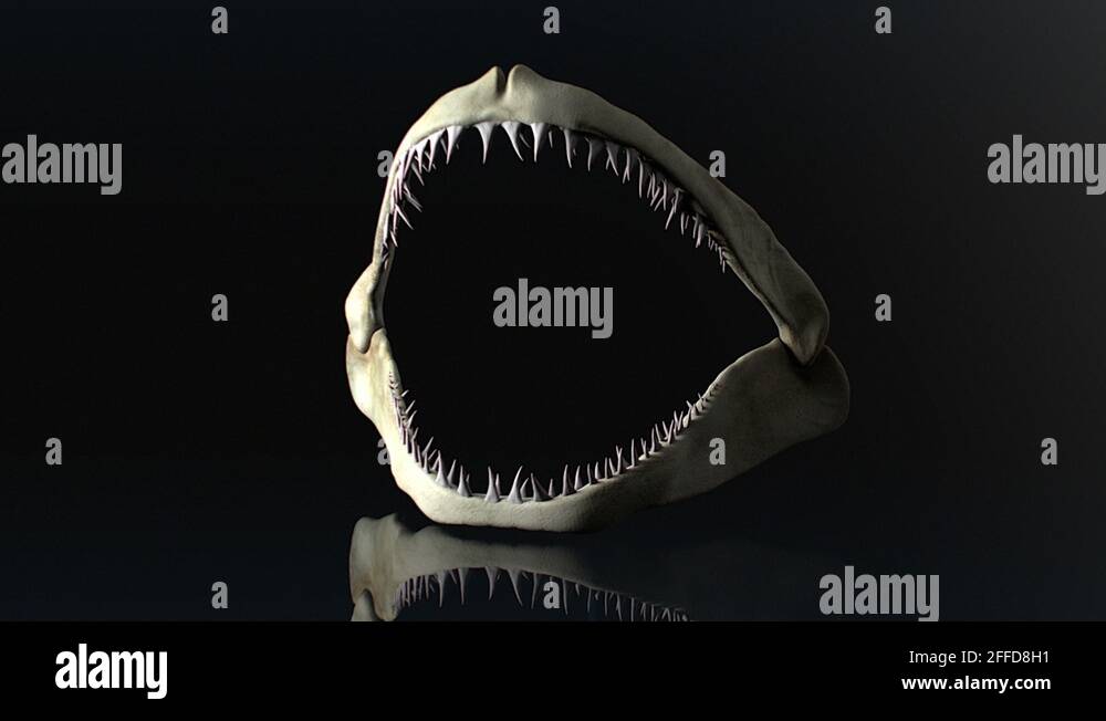 Prehistoric shark Stock Videos & Footage - HD and 4K Video Clips - Alamy