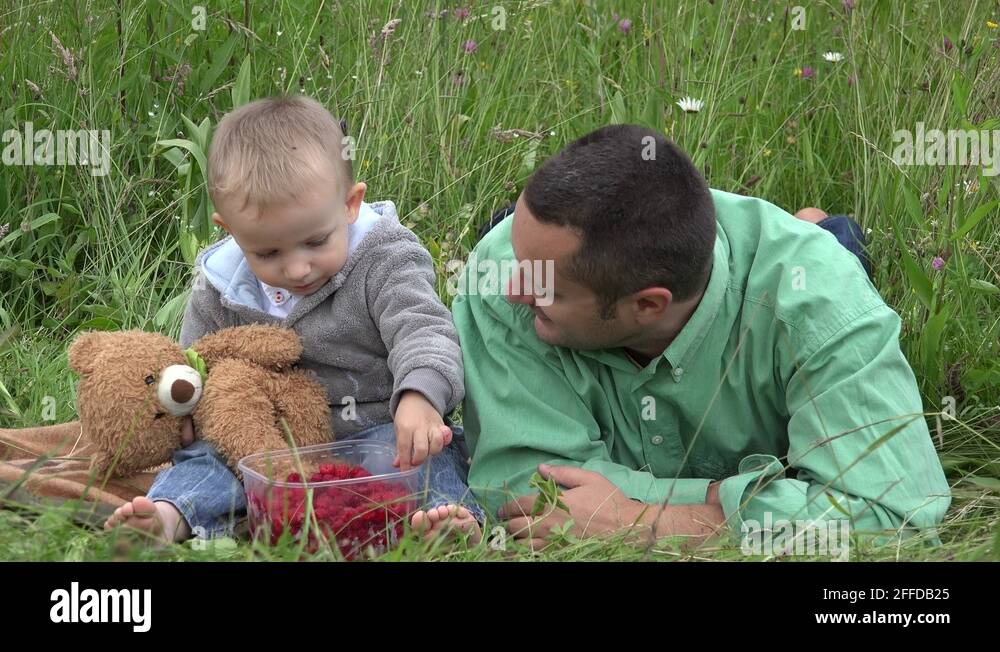 Little child feeding with raspberry father, teddy bear toy, boy give ...